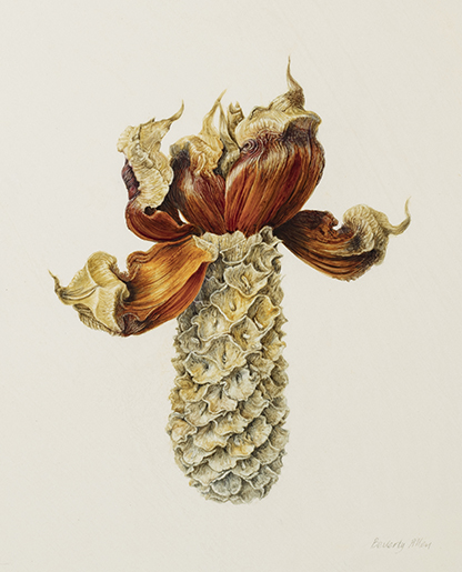 Beverly Allen Gallery