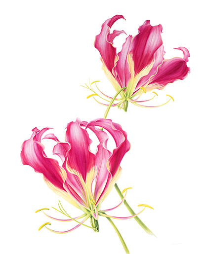 Beverly Allen Gallery