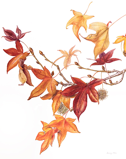 Beverly Allen Gallery