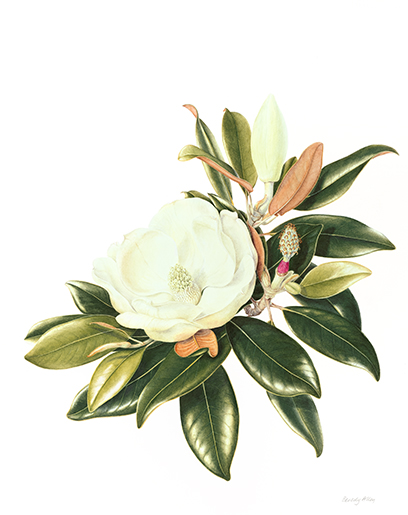 Beverly Allen Gallery