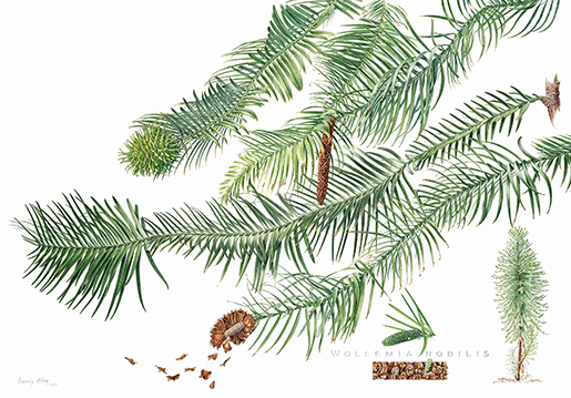 Beverly Allen Gallery