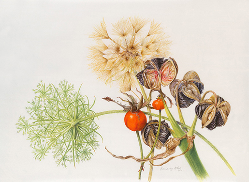 Beverly Allen Prints